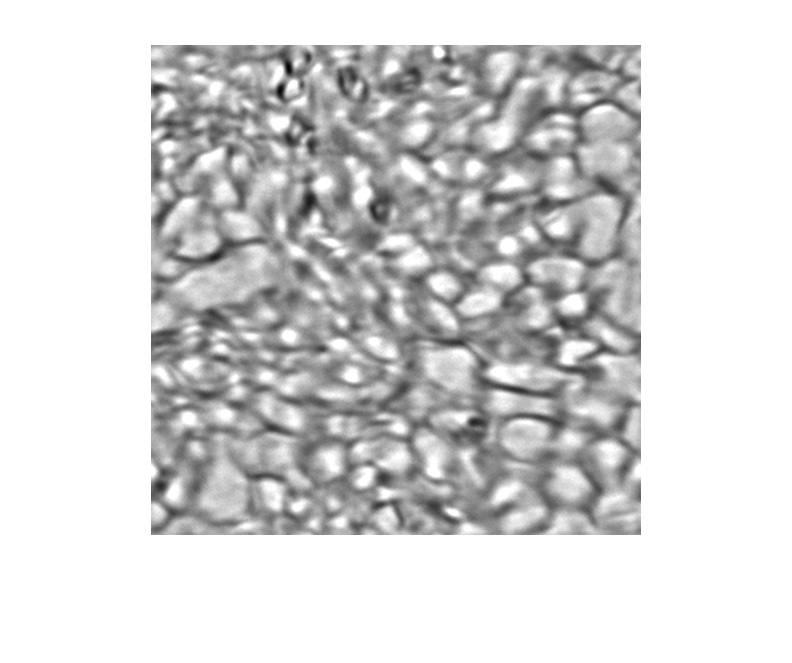 Introduction to Image Fusion + FPM | Zhiping WANG